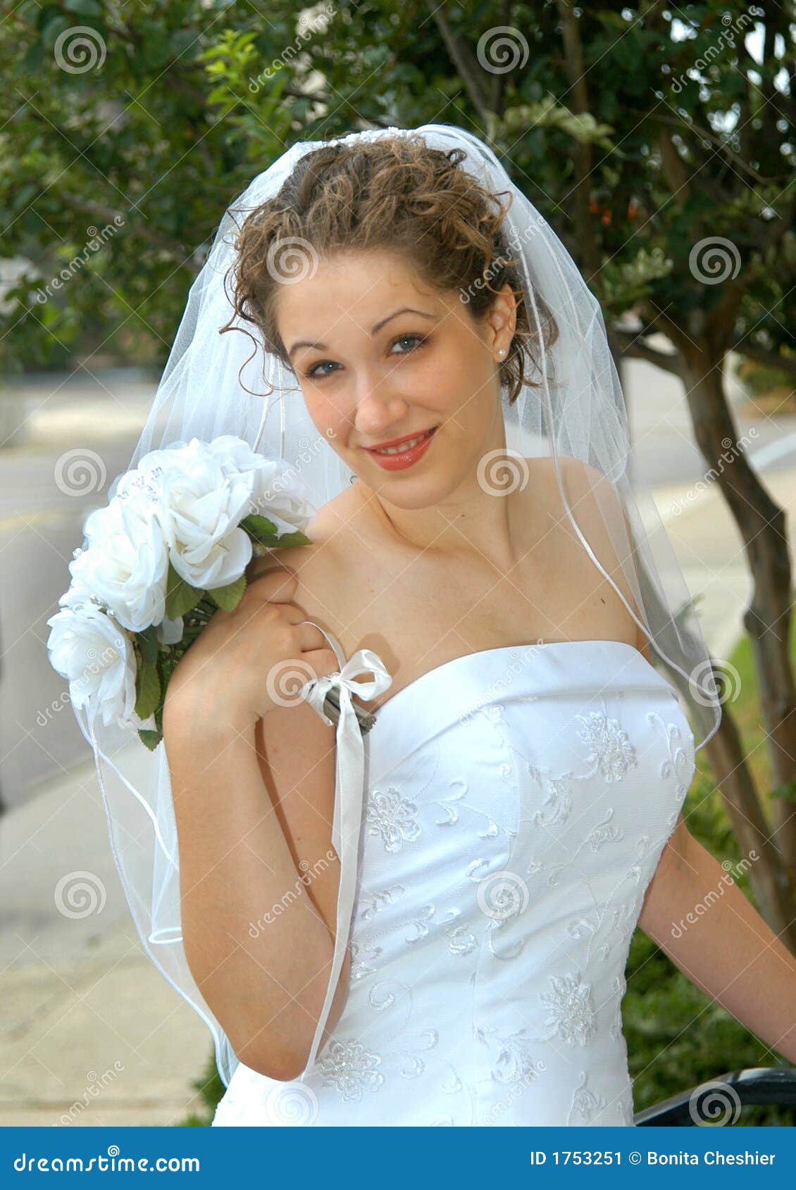 Bride so Dreamy stock image. Image of joyful, veil, marriage - 1753251