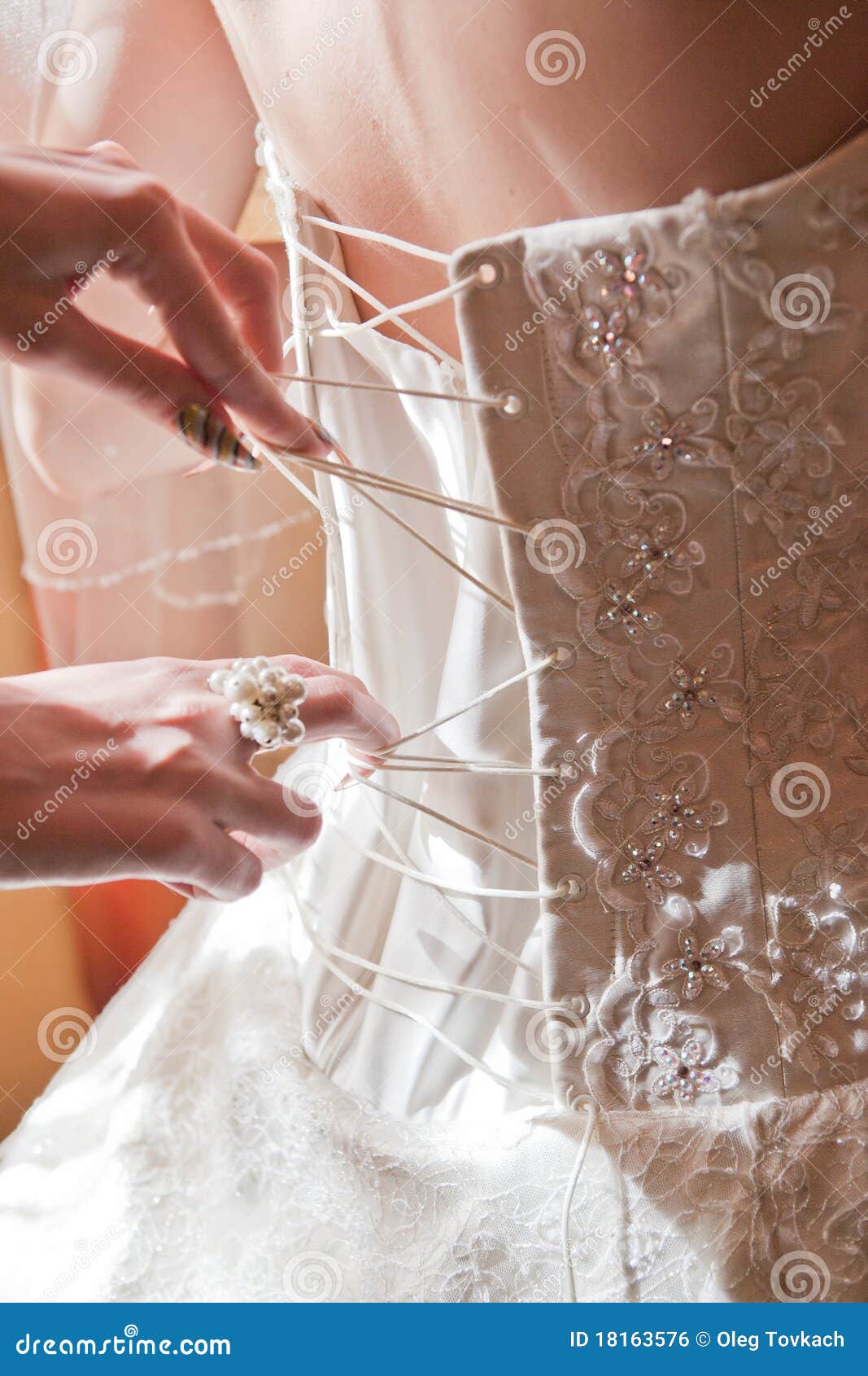 Bride Dress Preparation for the Wedding Stock Photo - Image of back ...