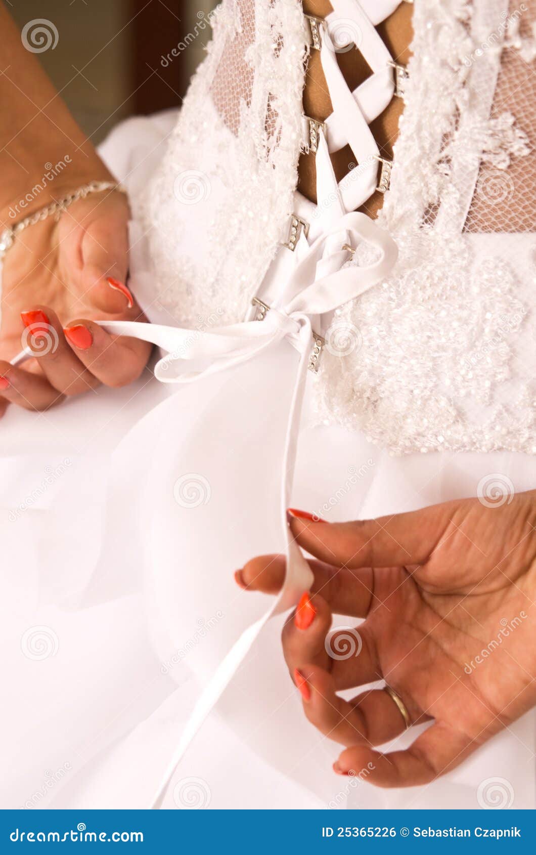 Bride dress tie stock photo. Image of marriage, lacing - 25365226