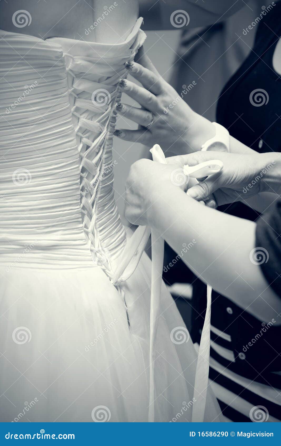 Bride Dressing the Wedding Dress Stock Photo - Image of wedding ...