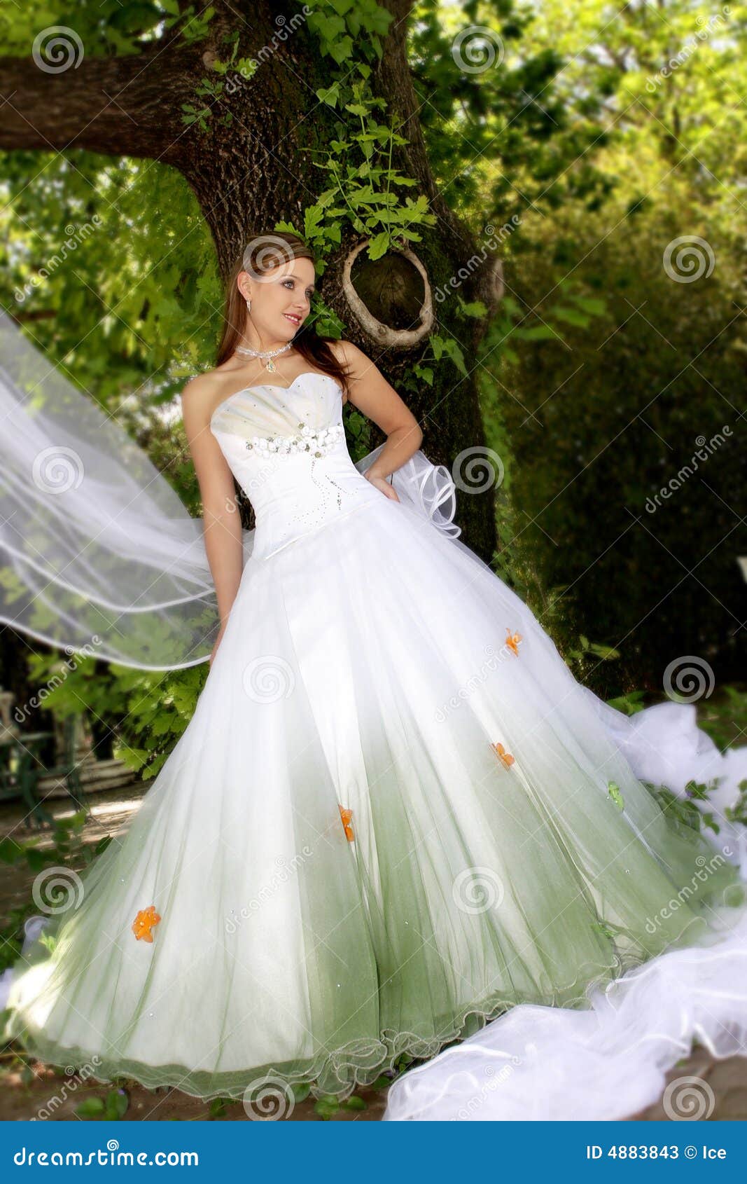 Bride Fairy stock image. Image of model, smile, look, bride - 4883843