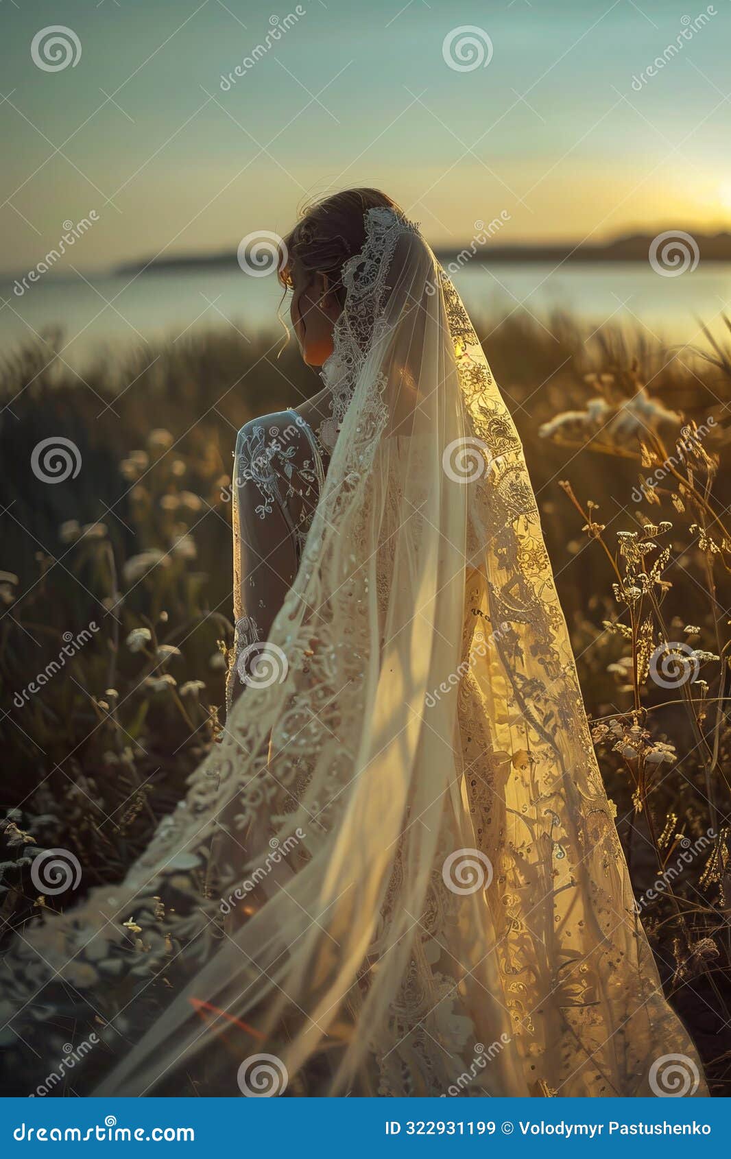 A Bride in a Field with Her Veil Blowing in the Wind Stock Image ...