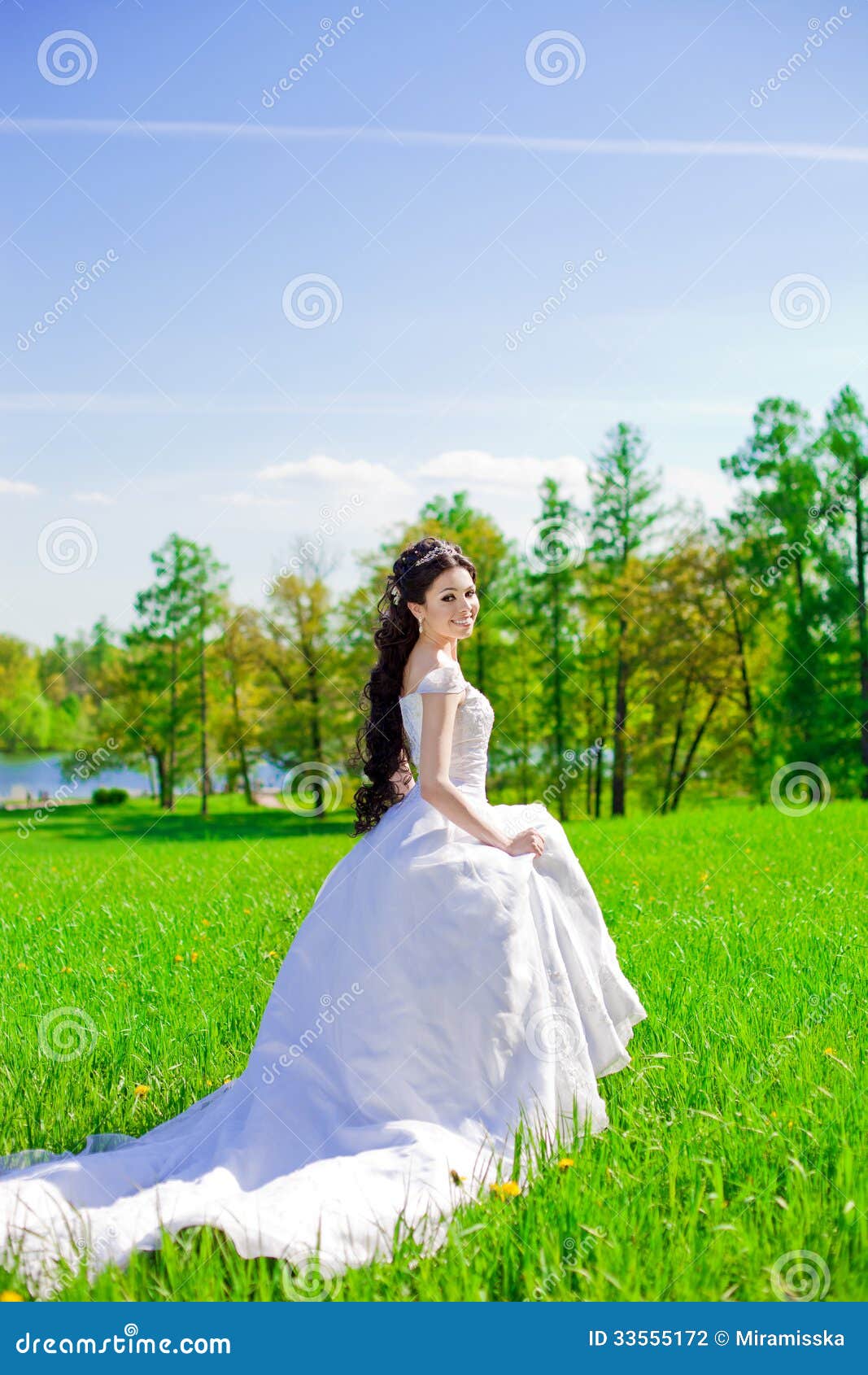 Bride on a Field in the Sunshine Stock Photo - Image of grass, beauty ...