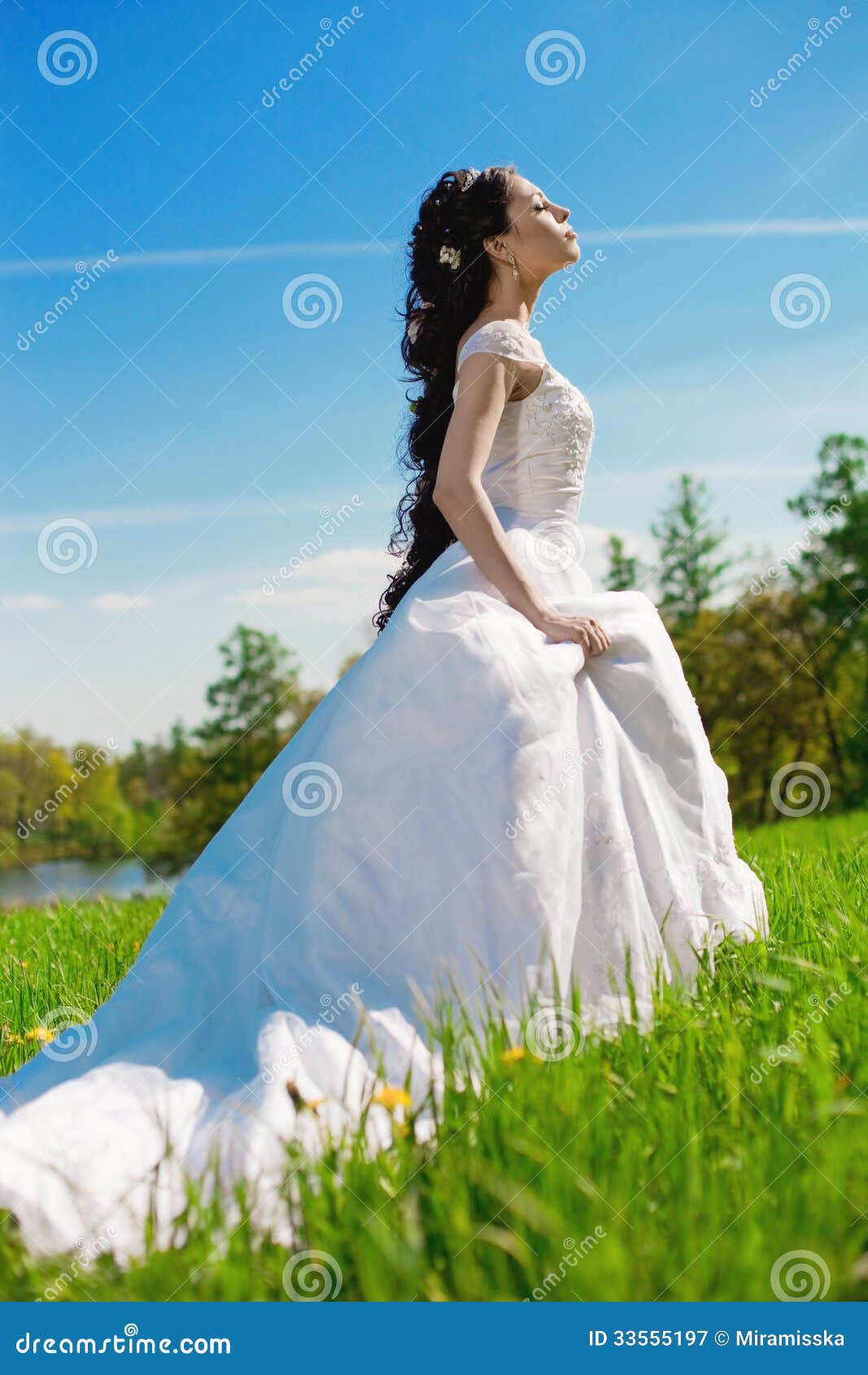 Bride on a Field in the Sunshine Stock Image - Image of flowers ...