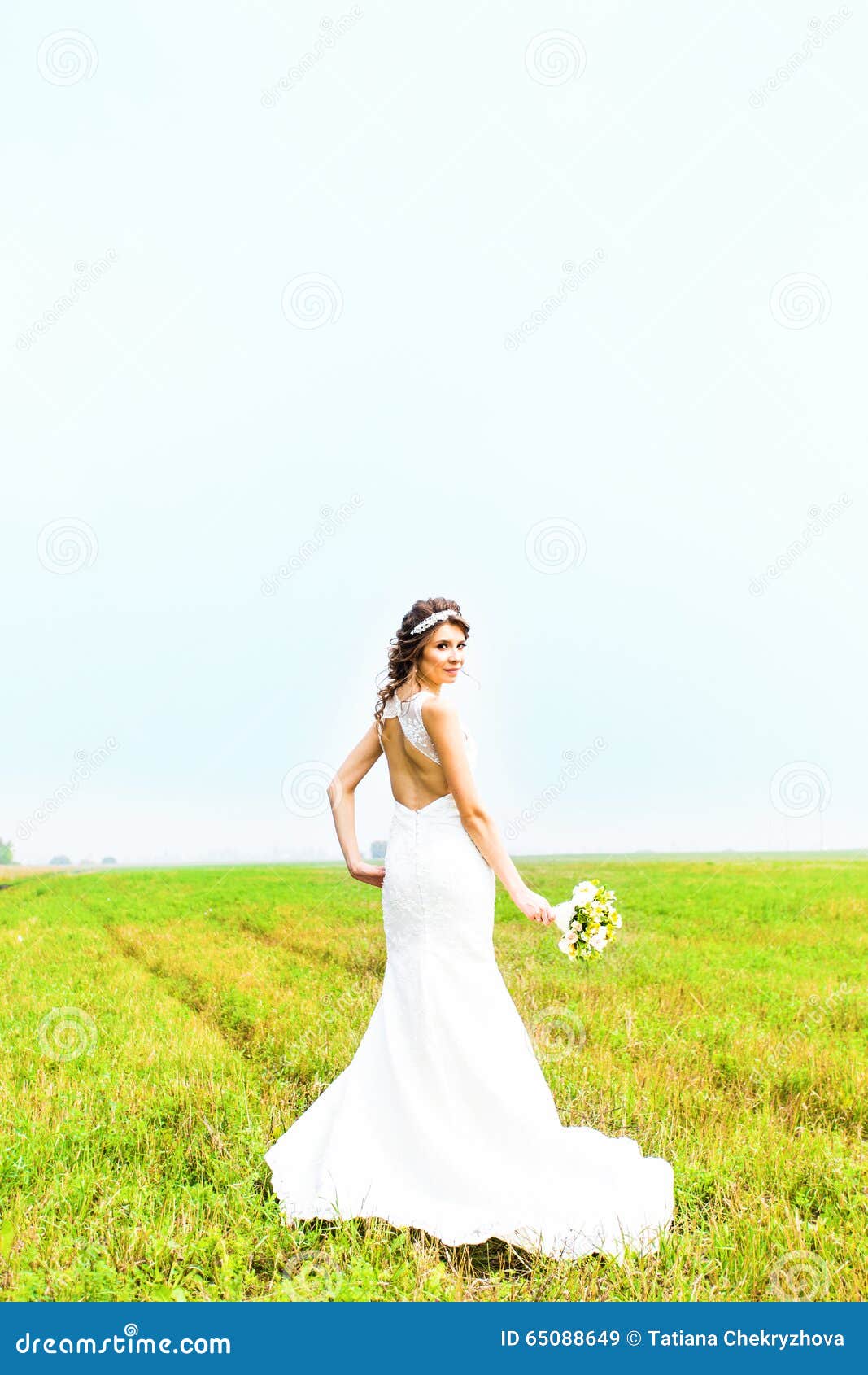 Bride on the field stock image. Image of enjoyment, caucasian - 65088649