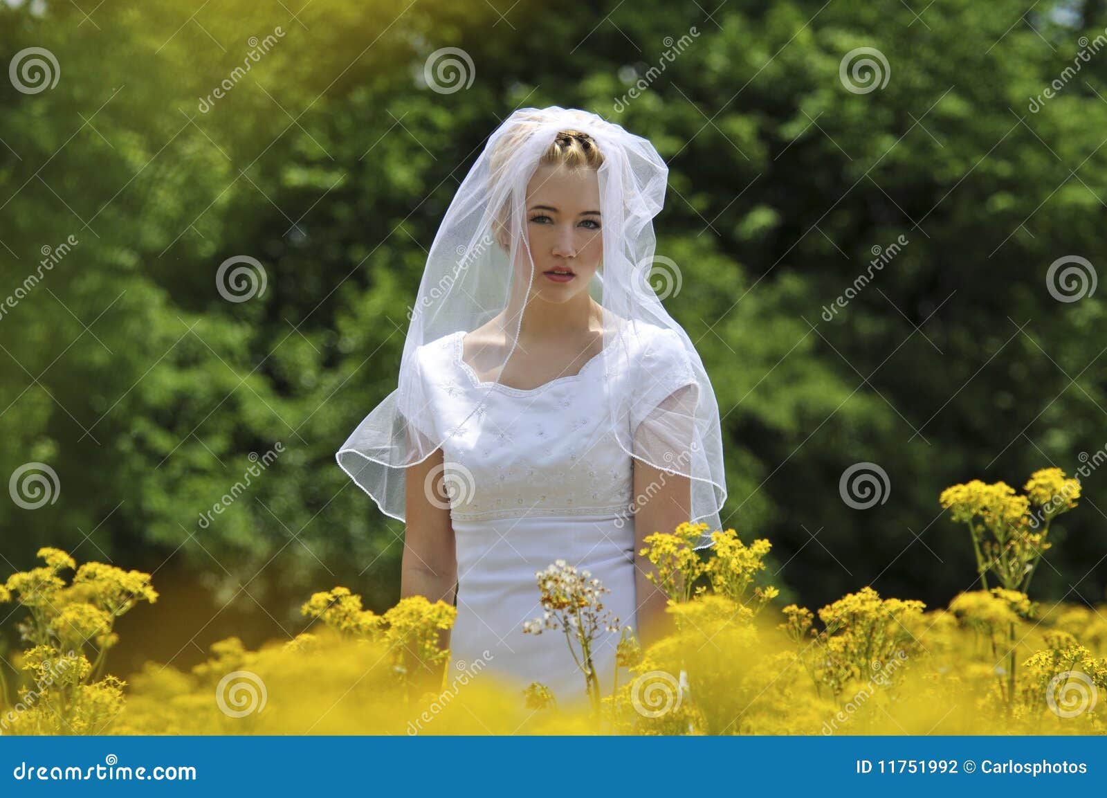 Bride in a flowers field stock photo. Image of bouquet - 11751992