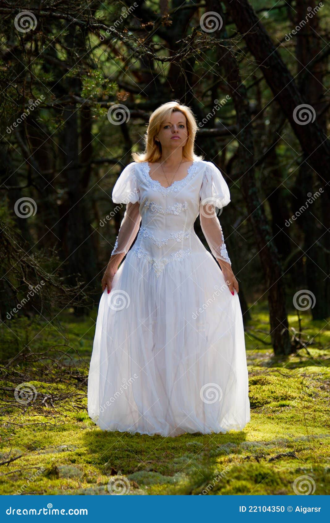 Bride in forest stock photo. Image of bride, woman, white - 22104350