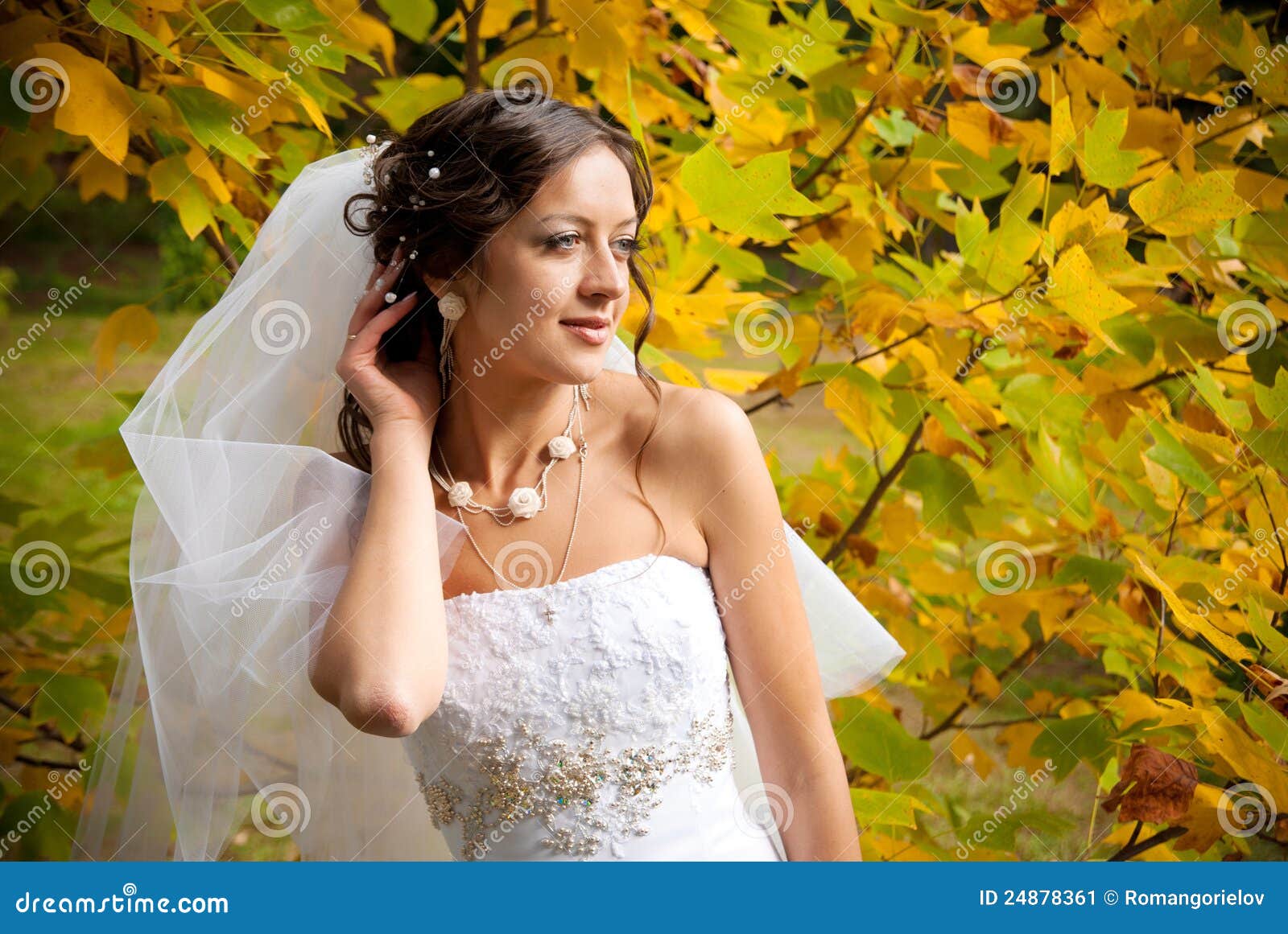 Bride in a garden stock image. Image of bride, portrait - 24878361