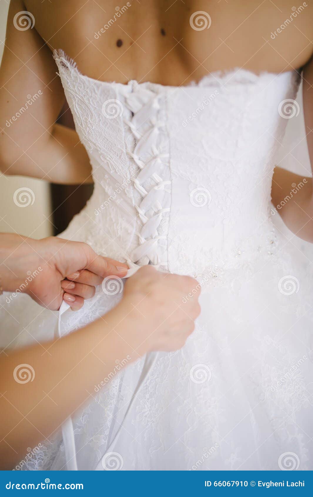Bride getting dressed stock photo. Image of attractive - 66067910