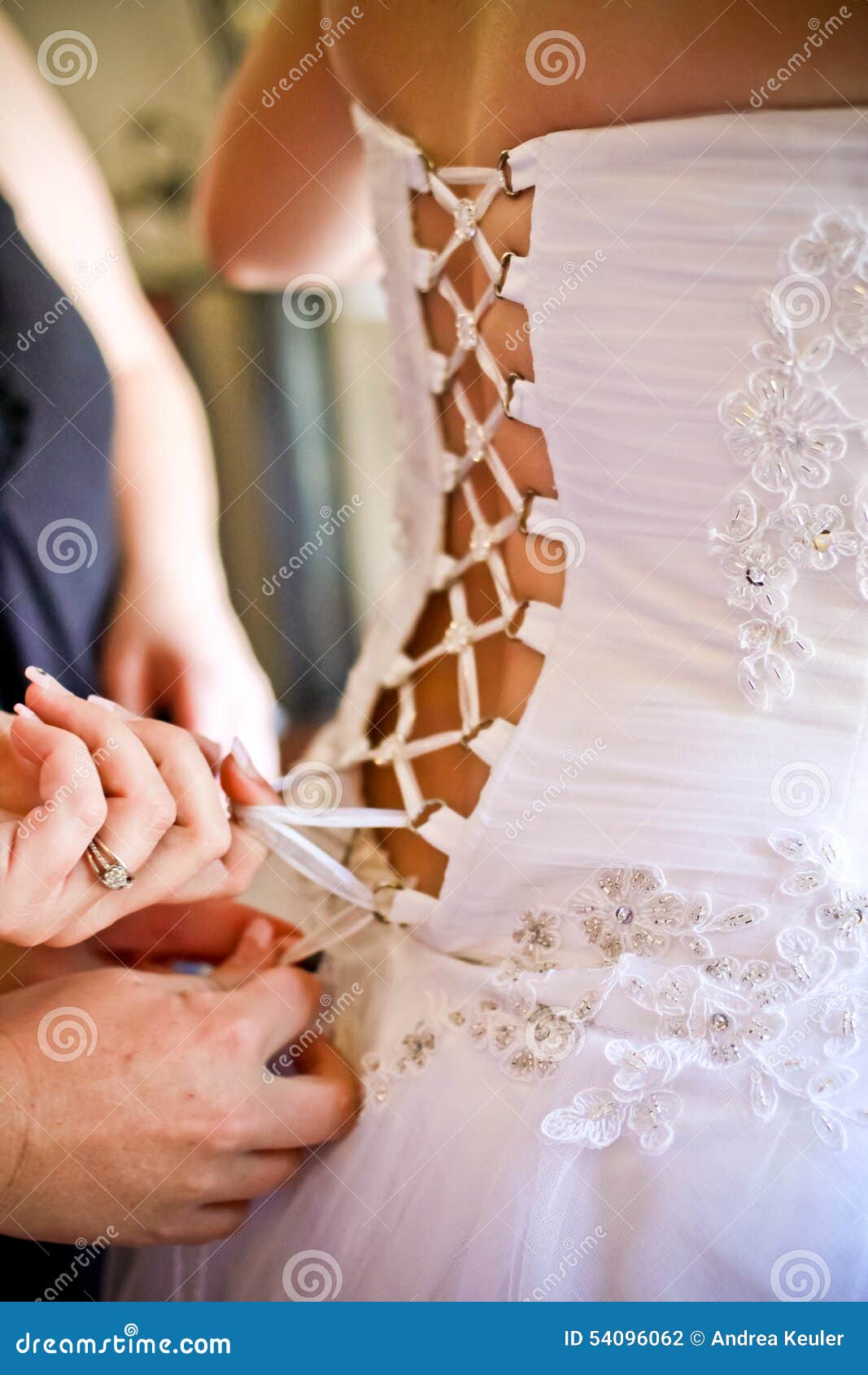 Bride getting dressed stock photo. Image of fasten, dressed - 54096062