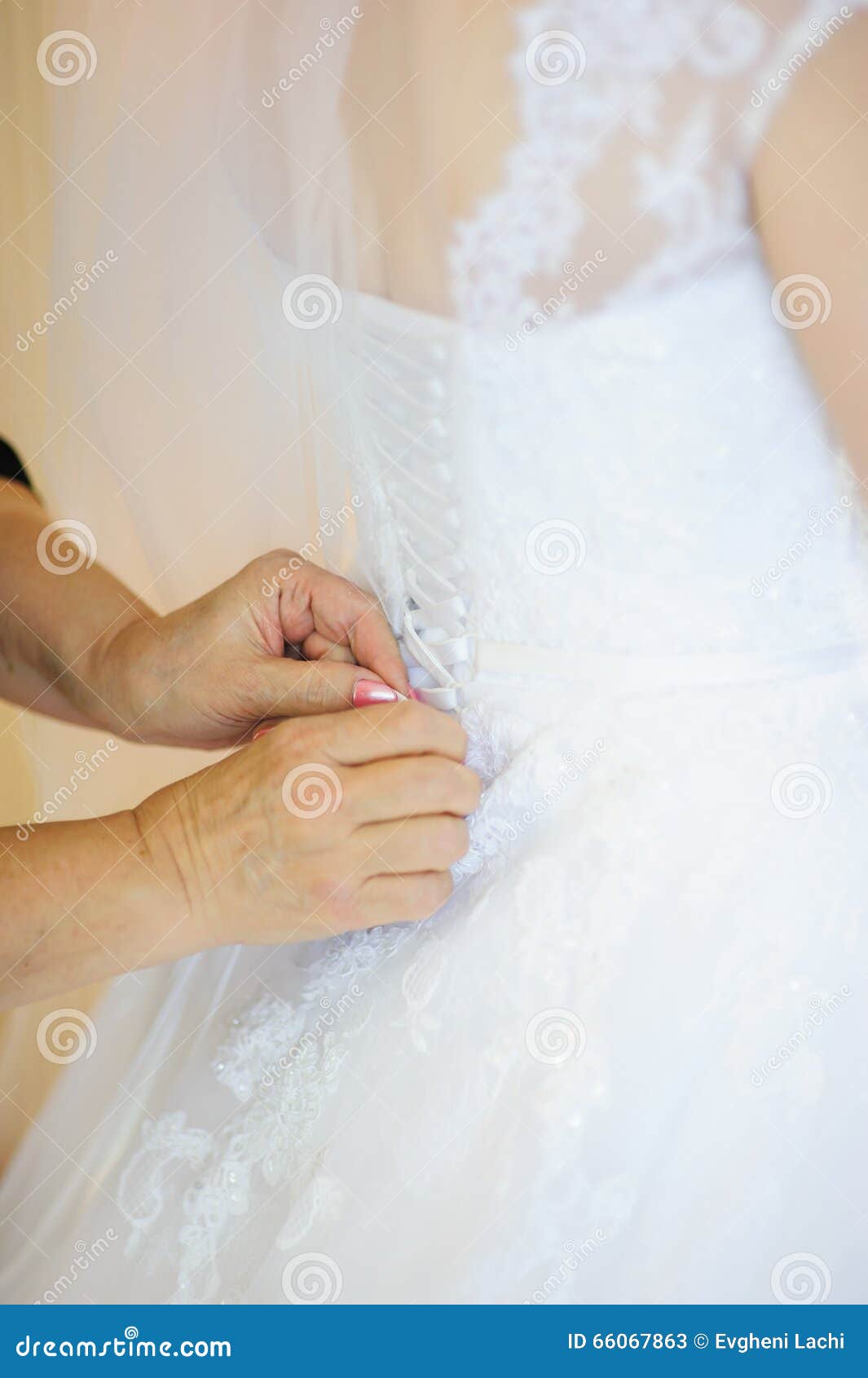 Bride Getting Dressed on Her Wedding Day Stock Image - Image of gown ...