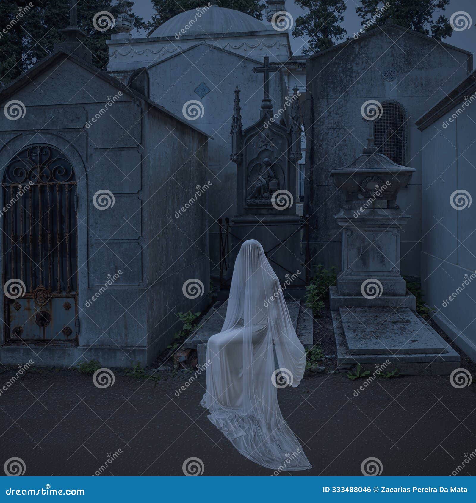 Bride Ghost from an Old Cemetery Stock Illustration - Illustration of ...