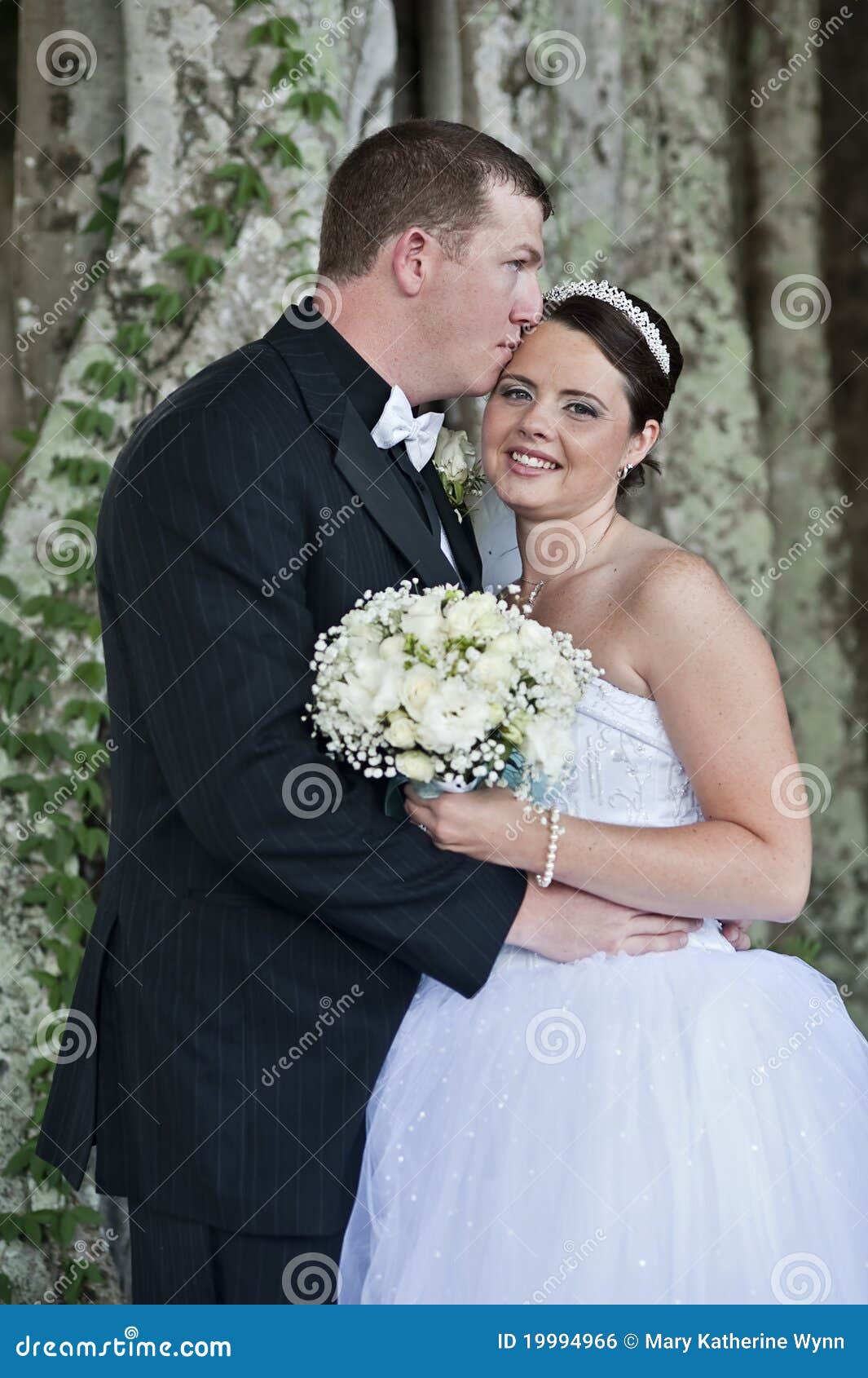 Bride and Groom stock photo. Image of dress, commitment - 19994966