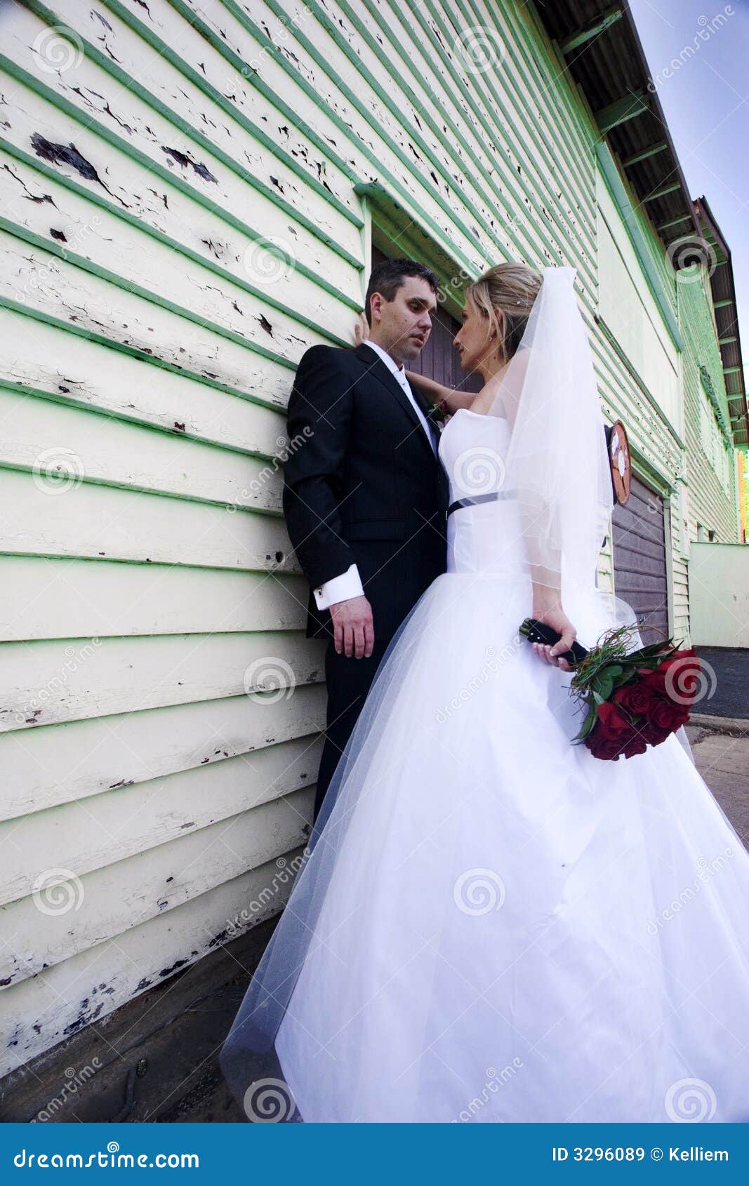 Bride and Groom stock image. Image of forceful, hitched - 3296089