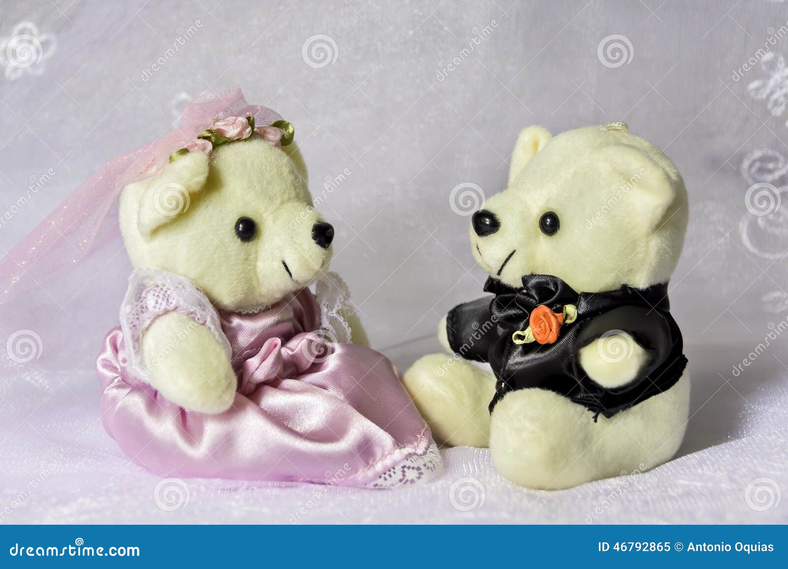 Bride Groom Bear stock image. Image of teddy, cute, animal - 46792865