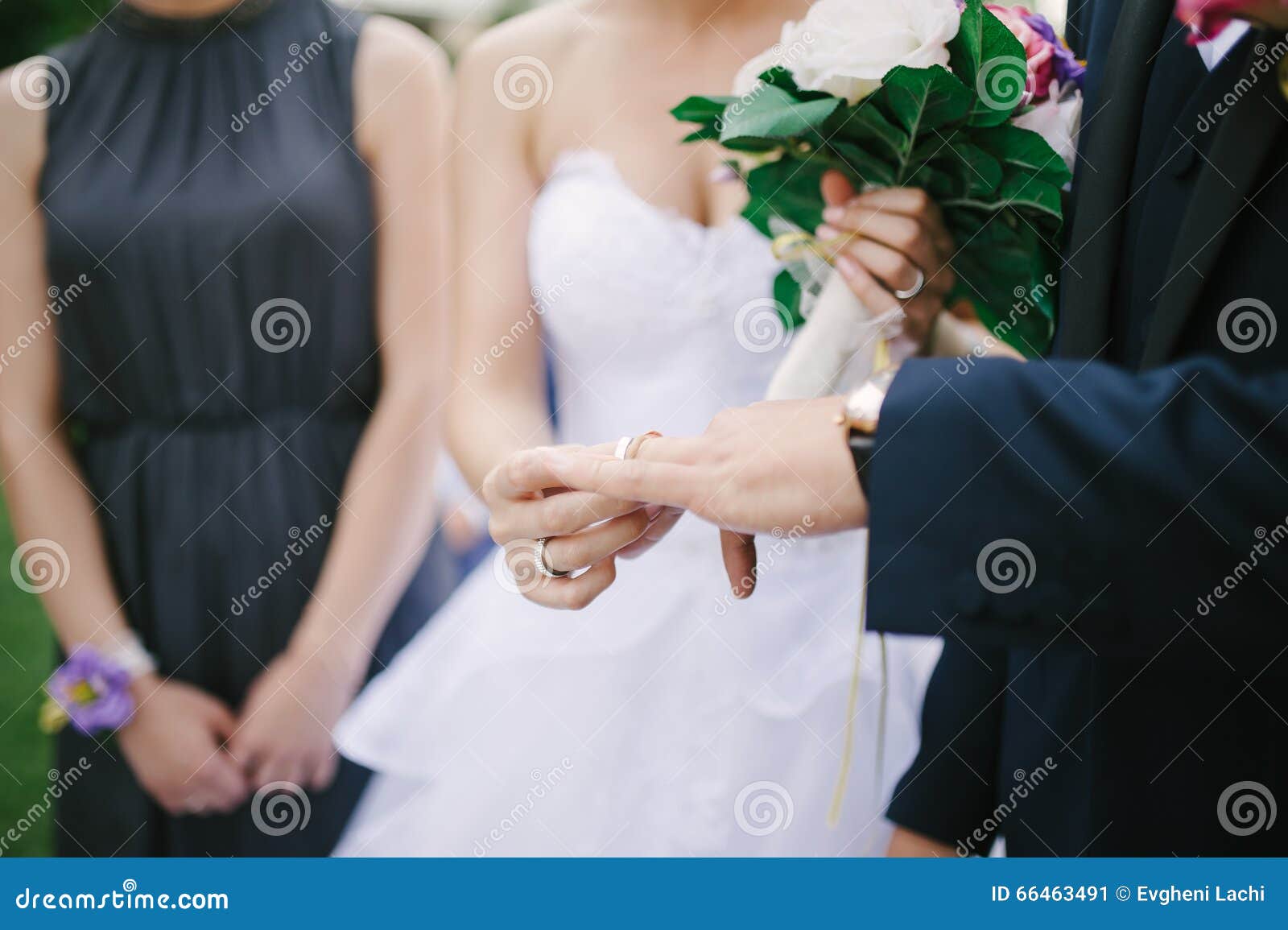 Bride and Groom are Changing Rings Stock Image - Image of wife ...