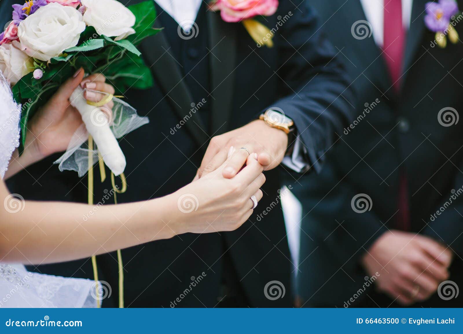 Bride and Groom are Changing Rings Stock Photo - Image of hand, wife ...