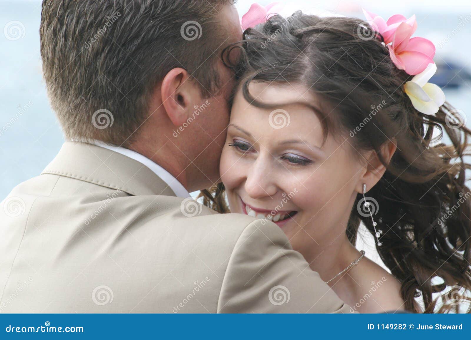 Bride and Groom Couple Hug stock photo. Image of brunette - 1149282