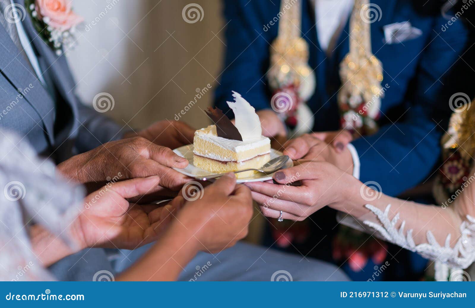 The Bride and Groom Give the Cake Stock Photo - Image of girl, bride ...