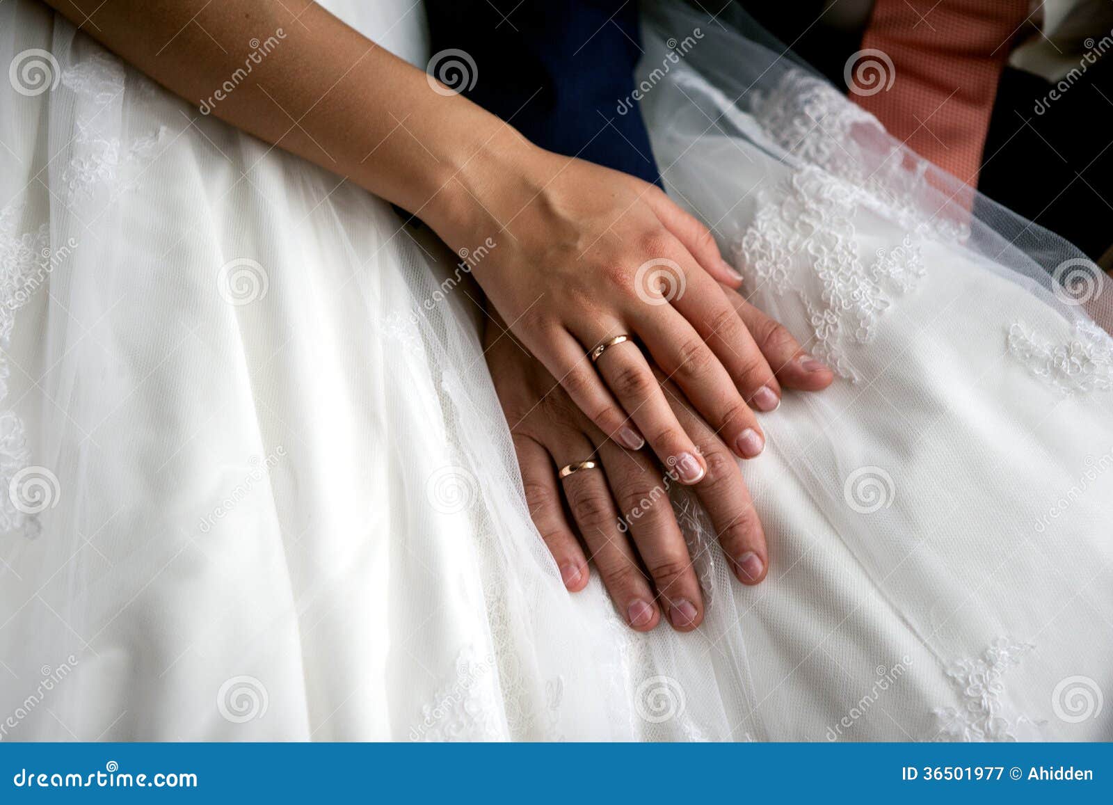 Bride and groom hands stock image. Image of woman, groom - 36501977