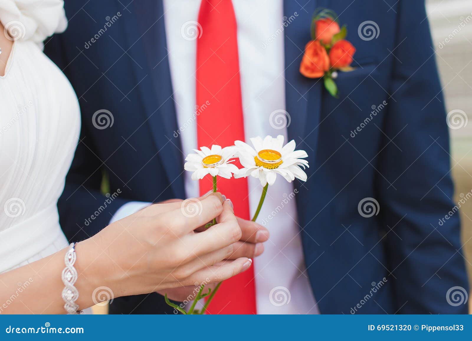 Bride and Groom Holding the Rings on the Chamomile Stock Photo - Image ...