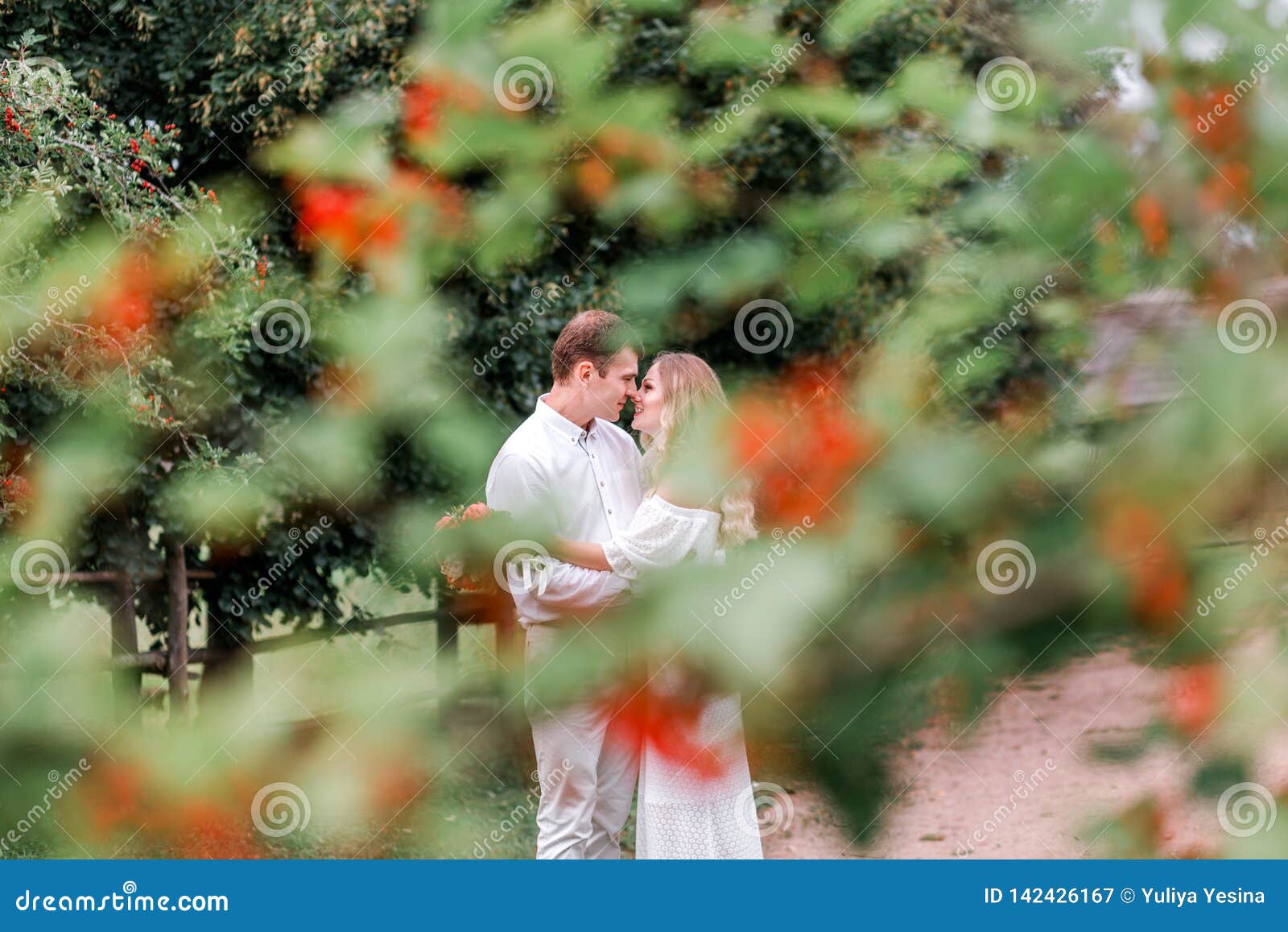 The Bride and Groom Kiss. Trees Around Stock Image - Image of cute ...