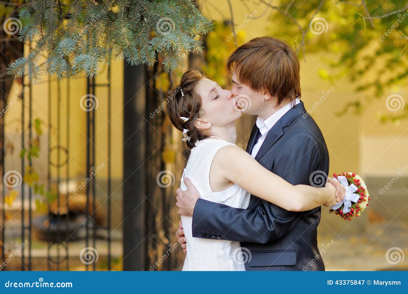 Bride and groom kissing stock image. Image of groom, fiance - 43375847