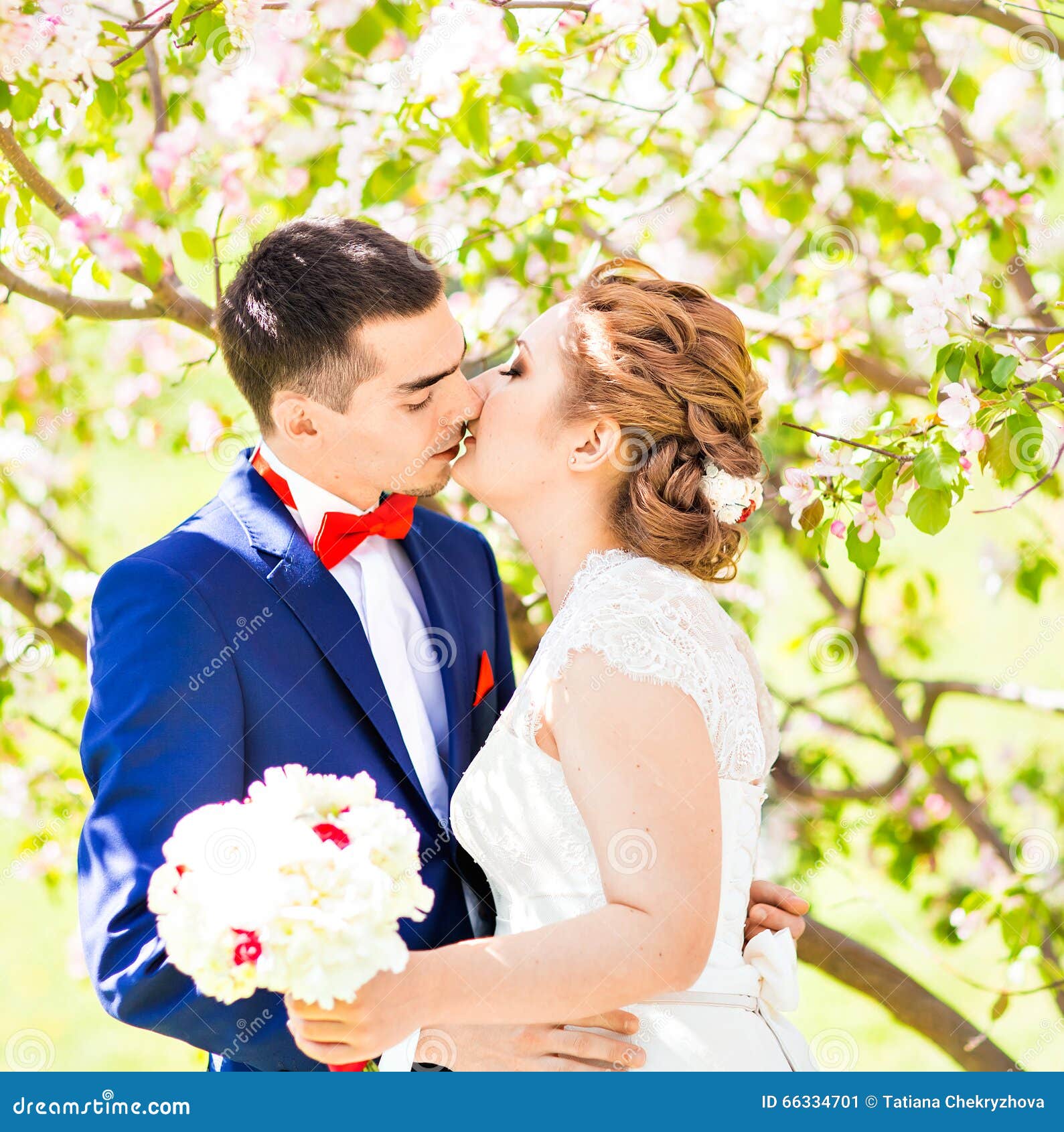 The Bride and Groom Kissing in the Spring Nature with Blooming Trees ...