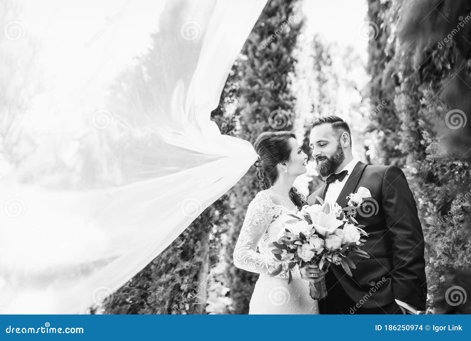 Bride and Groom Look at Each Other in Black and White Stock Photo ...