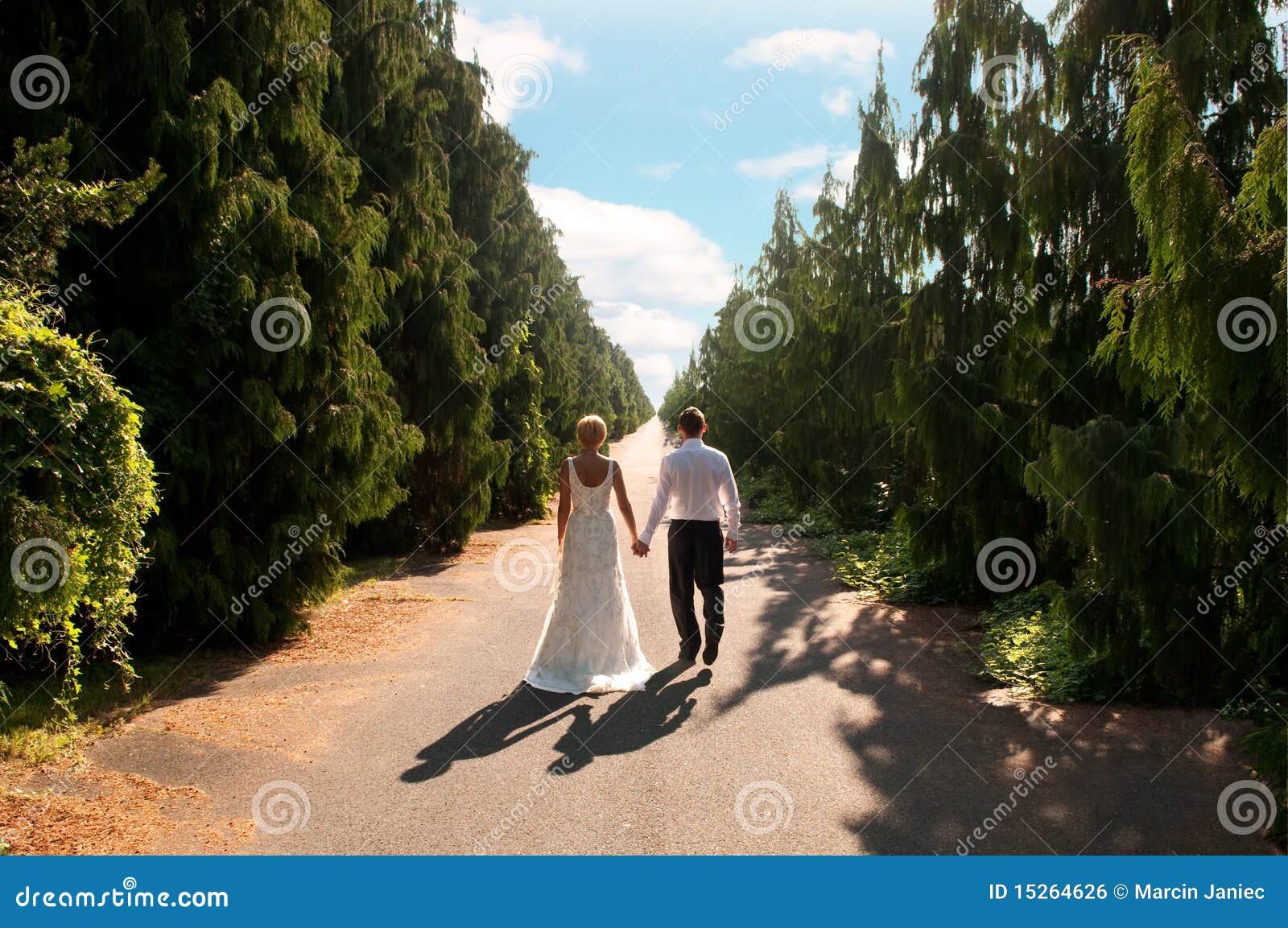 Bride and groom on path stock photo. Image of strolling - 15264626