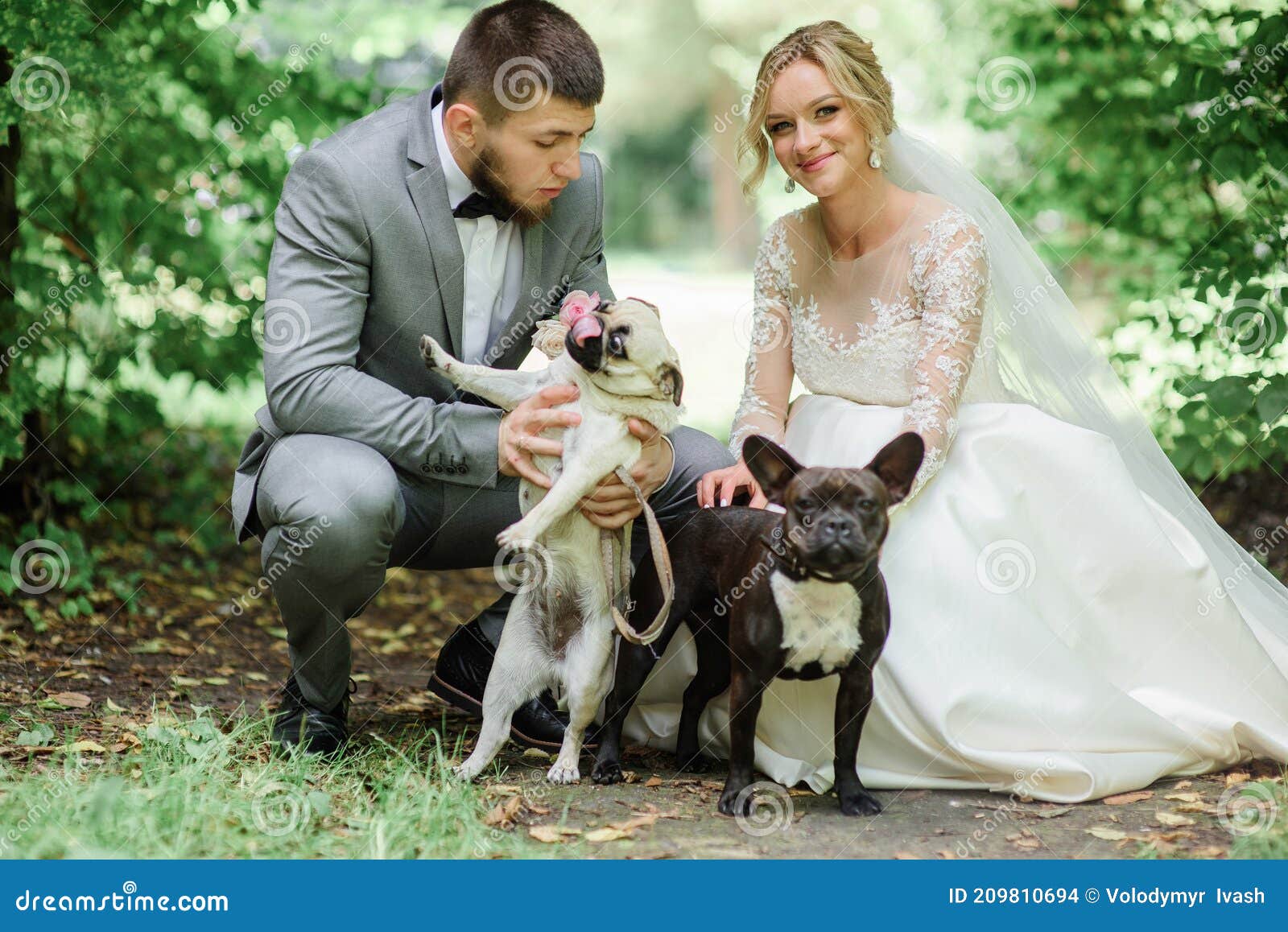 Bride and Groom Play with Fluffy Dogs Standing in the Forest Stock ...
