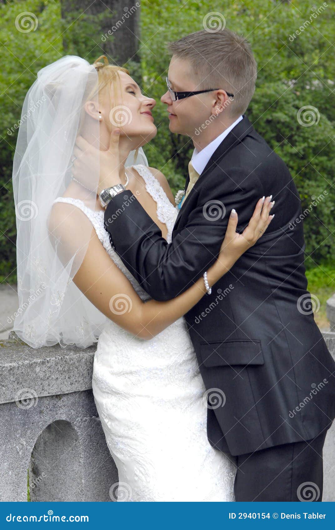 Bride and groom portrait stock photo. Image of people - 2940154