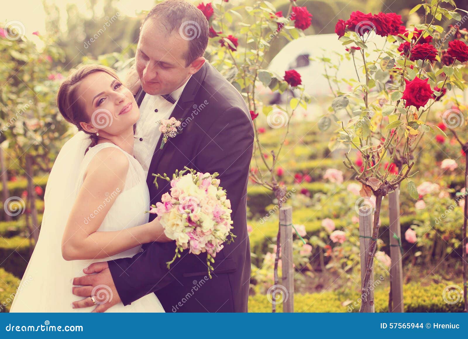 Bride and Groom with Roses in Background Stock Photo - Image of ...