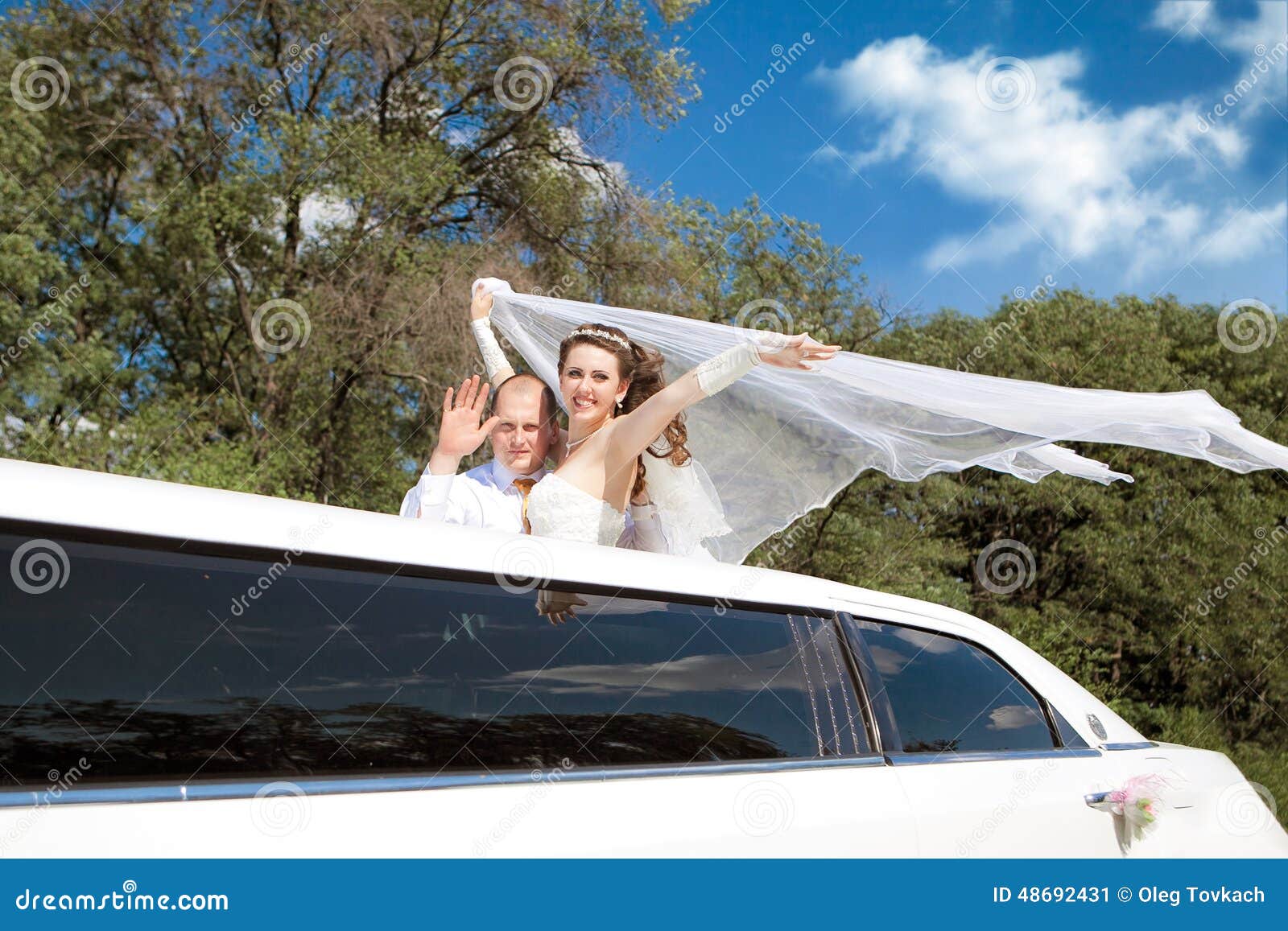 Bride and Groom Standing in Limo Waving Stock Image - Image of groom ...