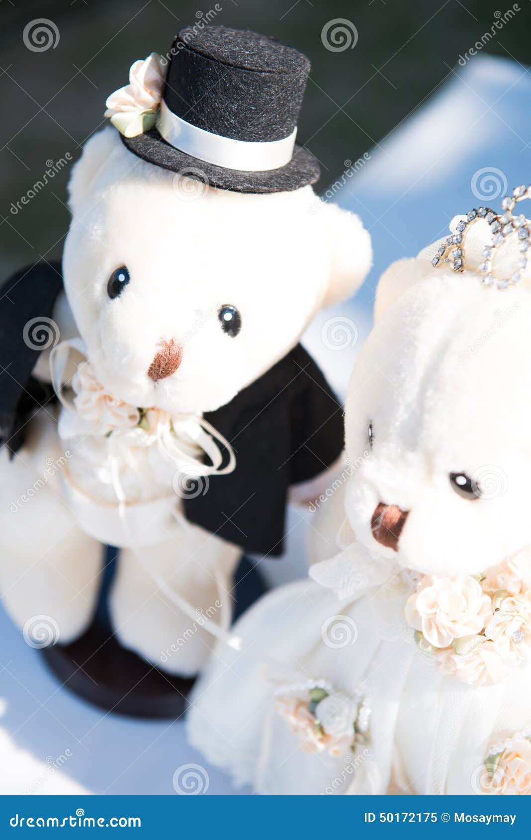Bride and Groom Teddy Bear in Wedding Stock Image - Image of lovely ...