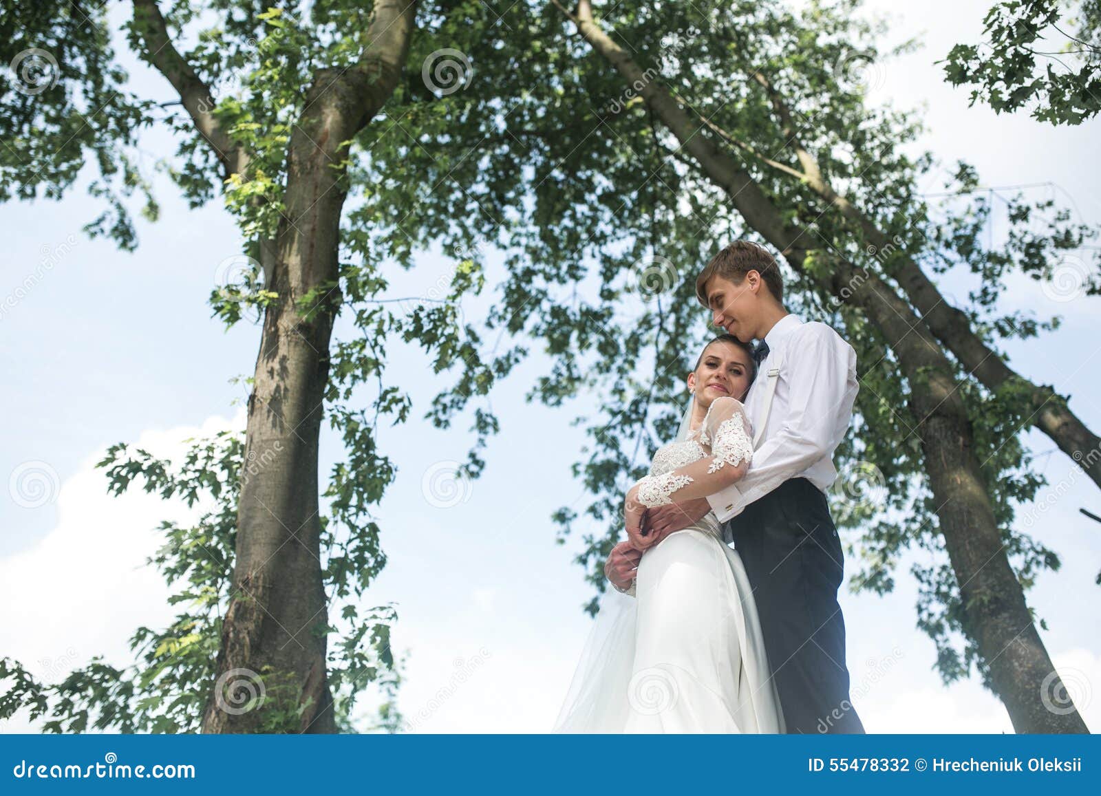 Bride and Groom on the Tree Stock Photo - Image of party, expressing ...