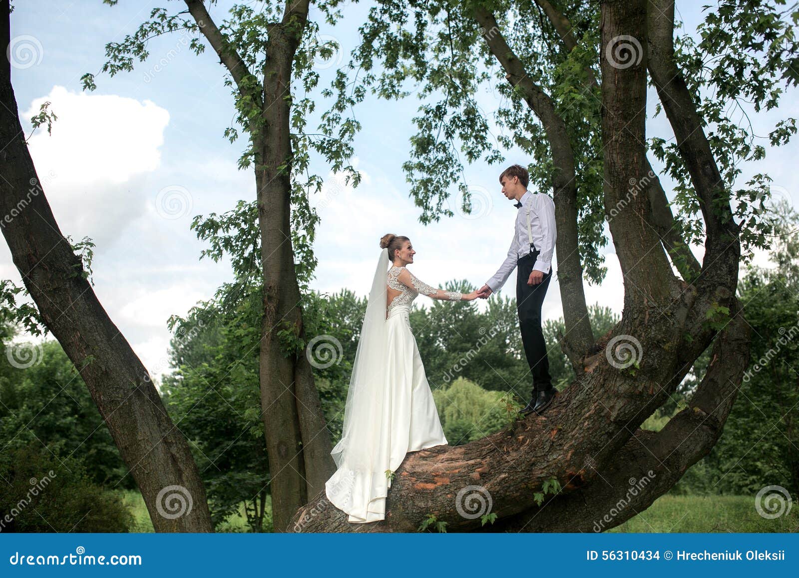 Bride and Groom on the Tree Stock Photo - Image of married, black: 56310434
