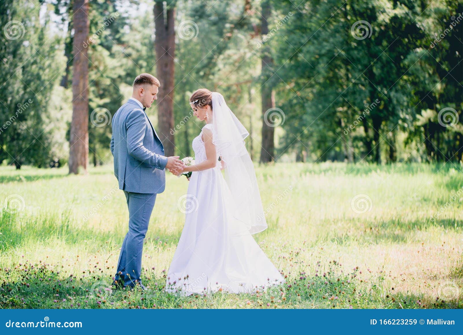 The Bride and Groom Walk in the Meadow Stock Image - Image of beauty ...