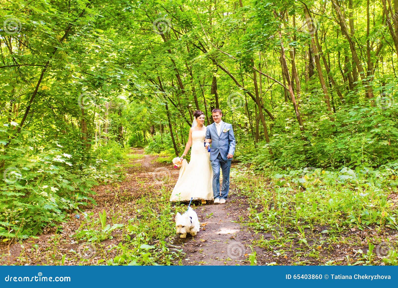 Bride and Groom Walking with Dog West Highland Stock Photo - Image of ...