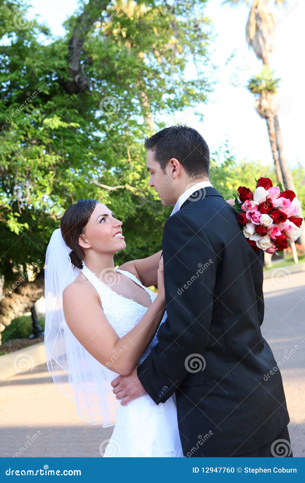 Bride and Groom at Wedding stock photo. Image of gown - 12947760