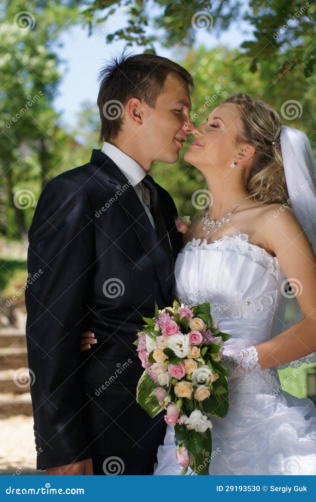 Bride and groom. Wedding stock photo. Image of kissing - 29193530