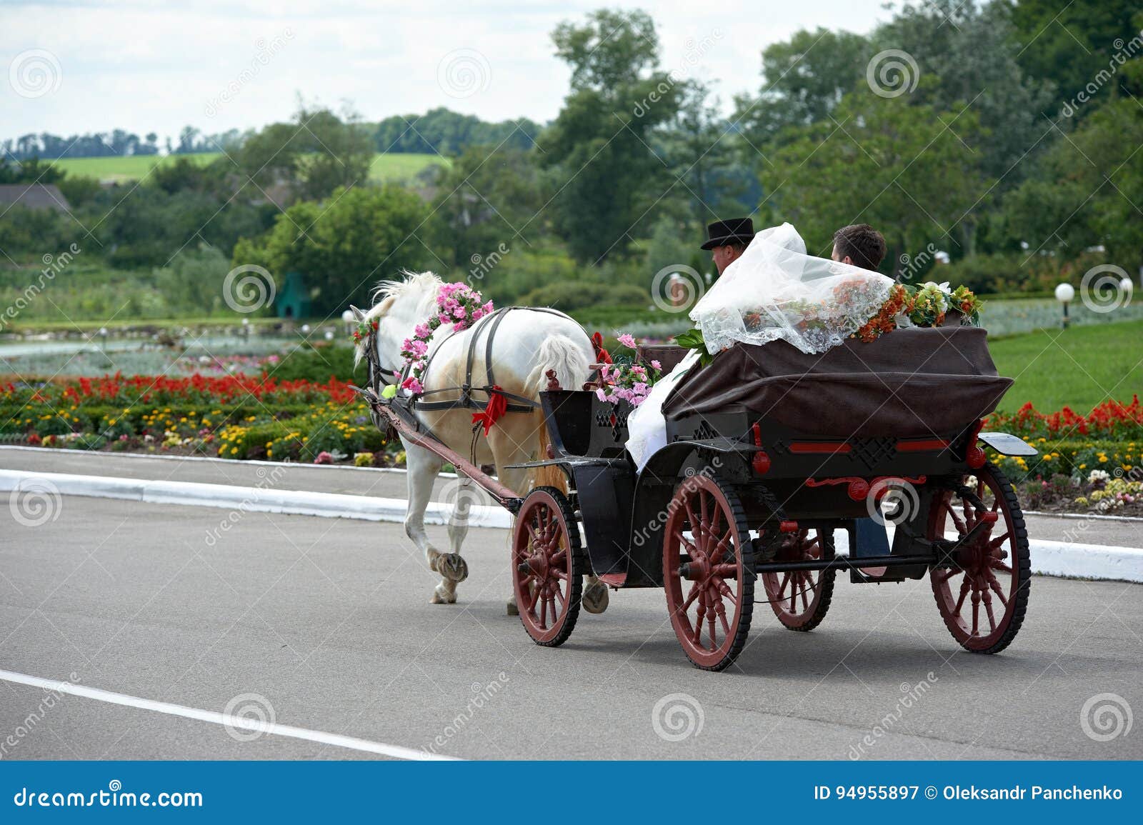 Bride and Groom in a Wedding Carriage Editorial Photography - Image of ...
