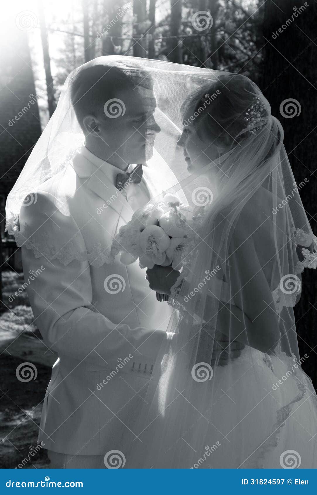 Bride and groom stock image. Image of marry, marriageable - 31824597