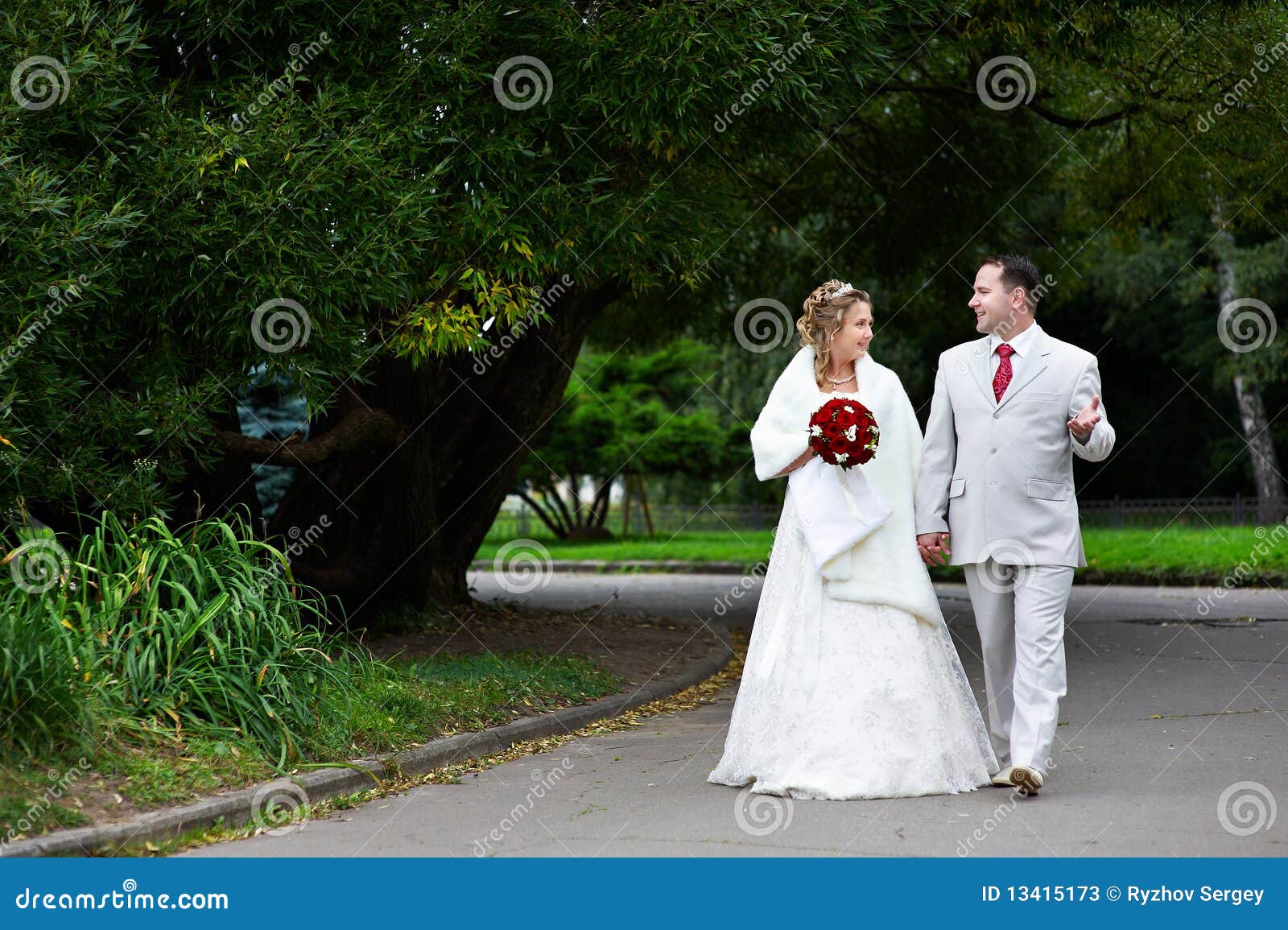 Bride and Groom on Wedding Walk Stock Image - Image of lane, groom ...