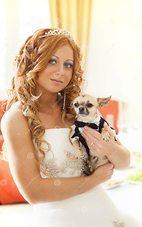 Bride and her pet stock photo. Image of person, happiness - 30987834