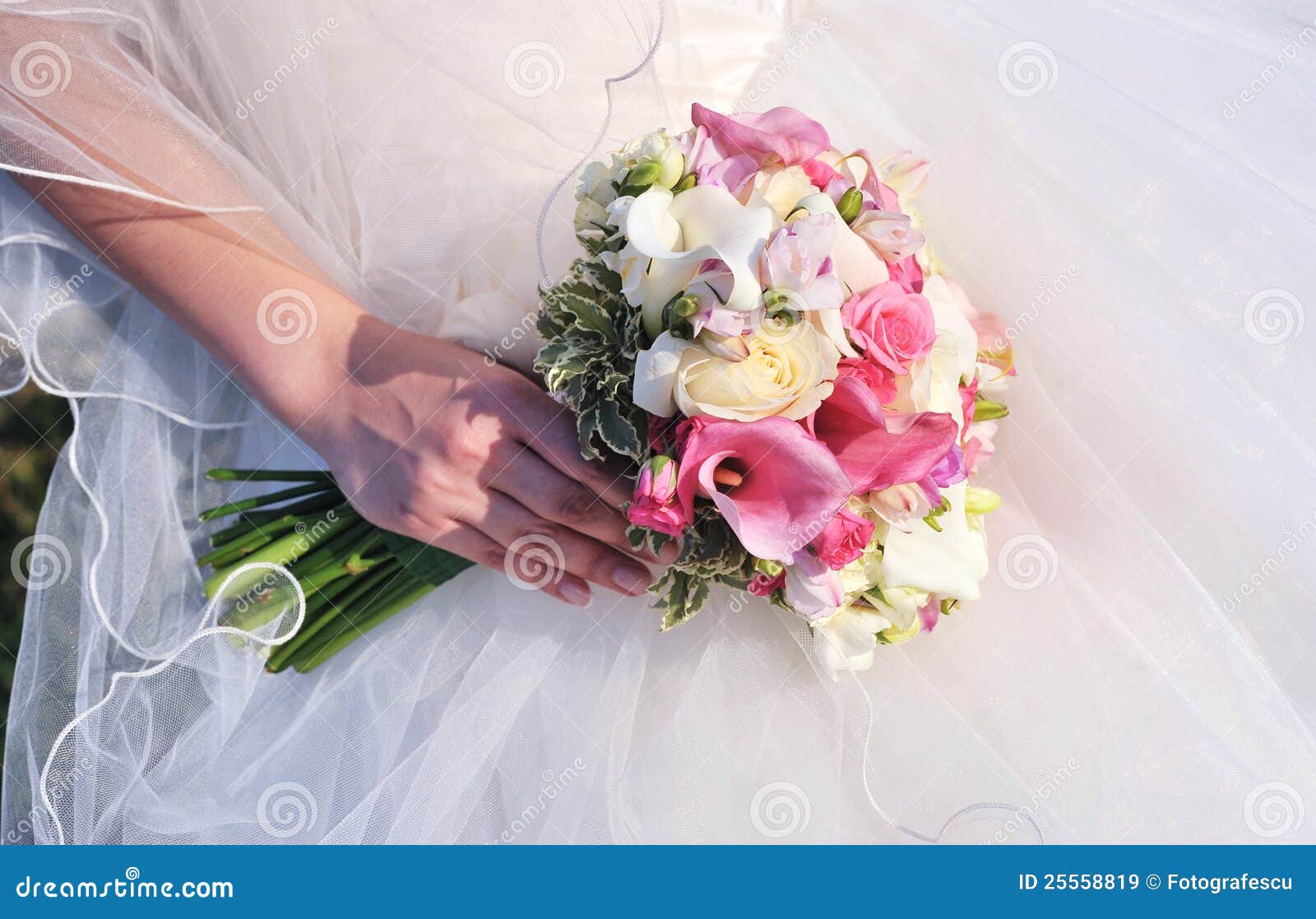 Bride holding bouquet stock image. Image of bouquet, copy - 25558819