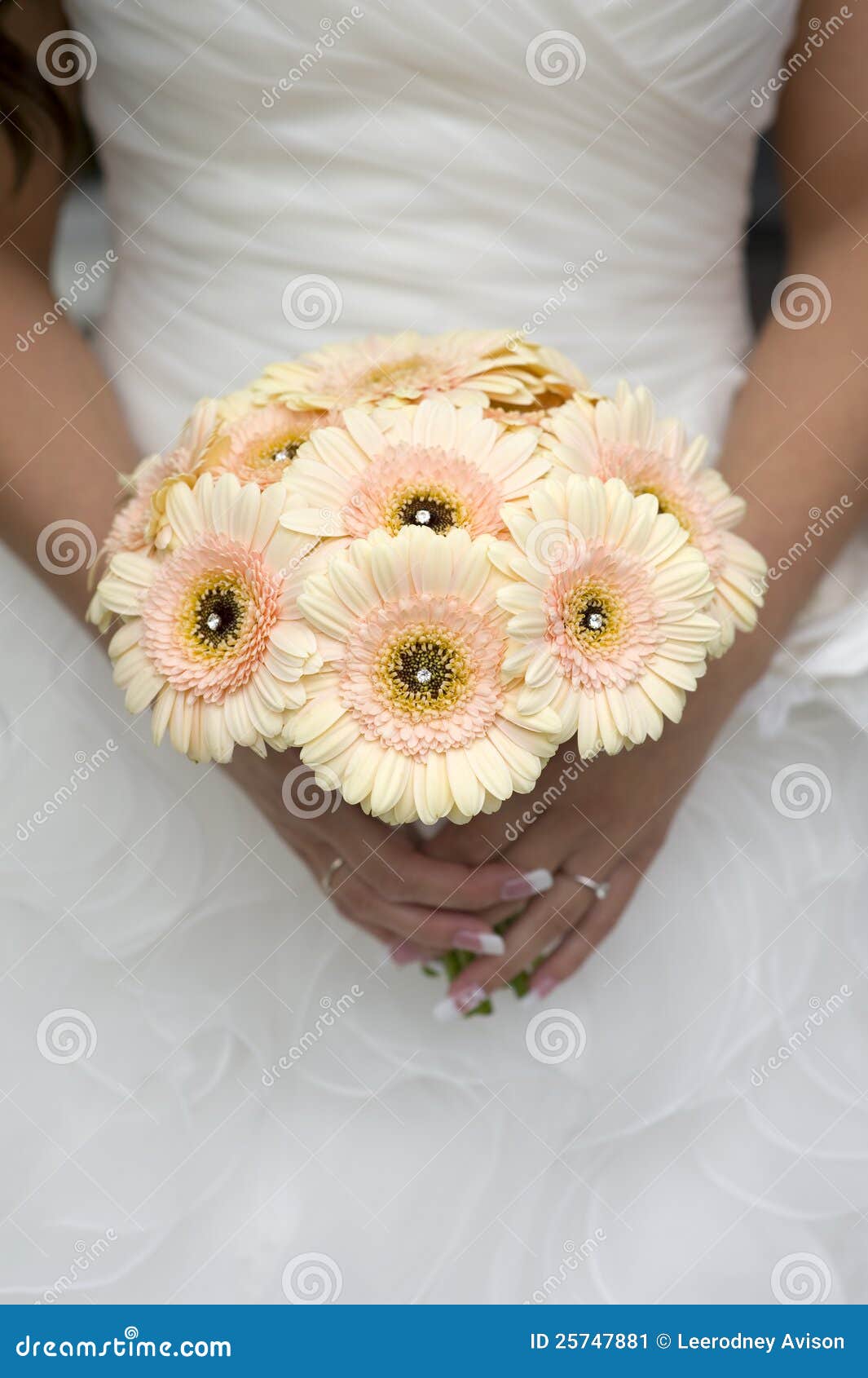 Bride Holding Gerbera Bouquet Stock Image - Image of bouquets, spring ...