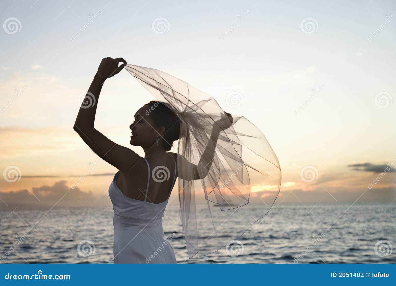 Bride Holding Veil on Beach Stock Photo - Image of woman, caucasian ...