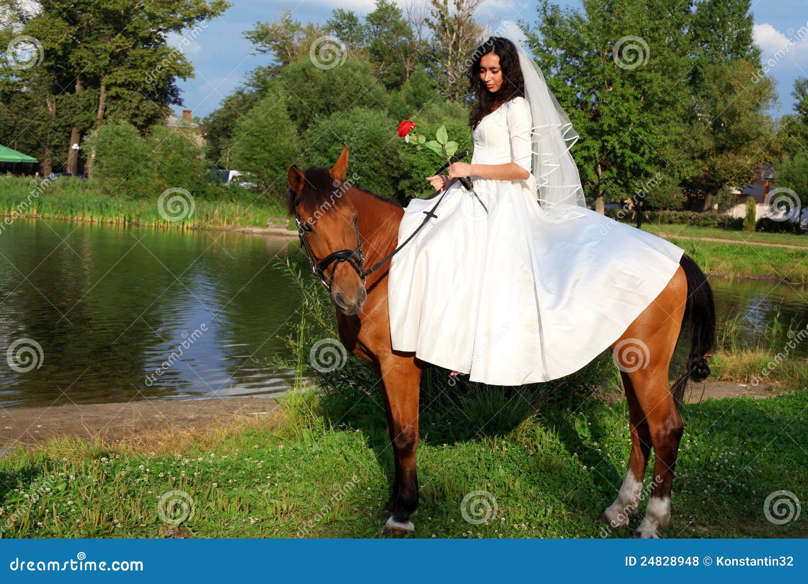 Bride horseback stock photo. Image of lifestyles, love - 24828948