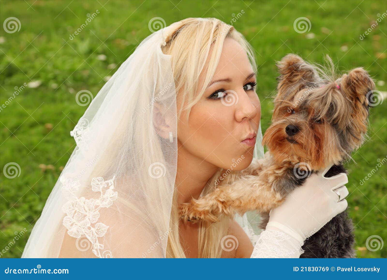 Bride Keeps and Kisses Small Dog Stock Image - Image of celebration ...